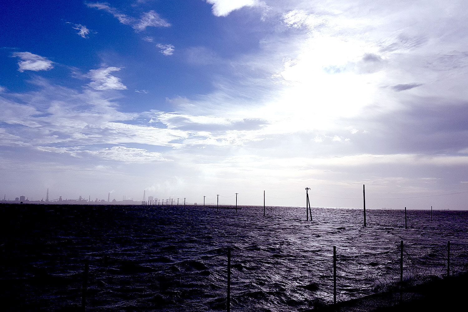 3 Instagram-Worthy Things to Do in Chiba - Unbordered Life