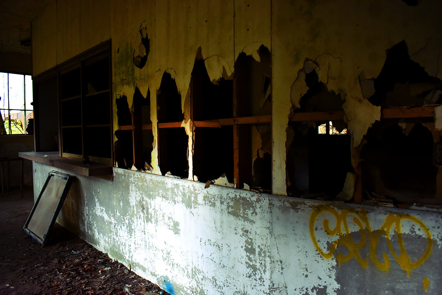 Okutama Ropeway, My First Foray into Haikyo - Unbordered Life