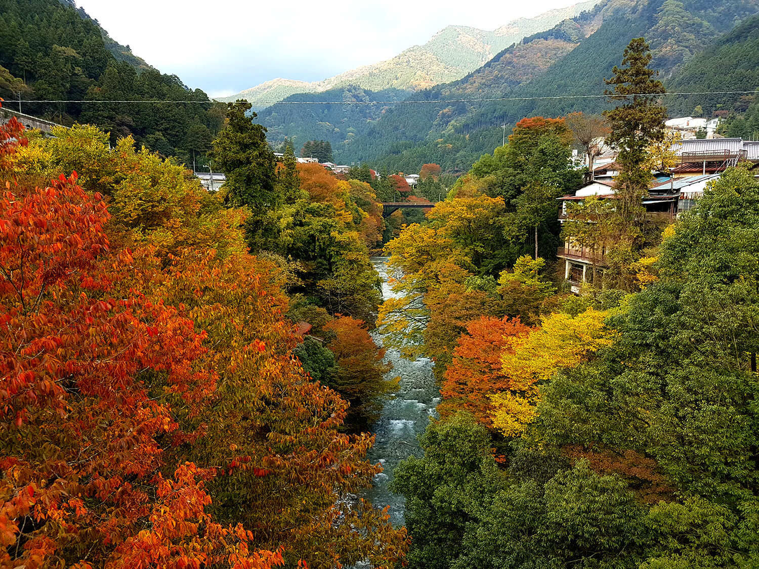 Okutama Ropeway, My First Foray into Haikyo - Unbordered Life