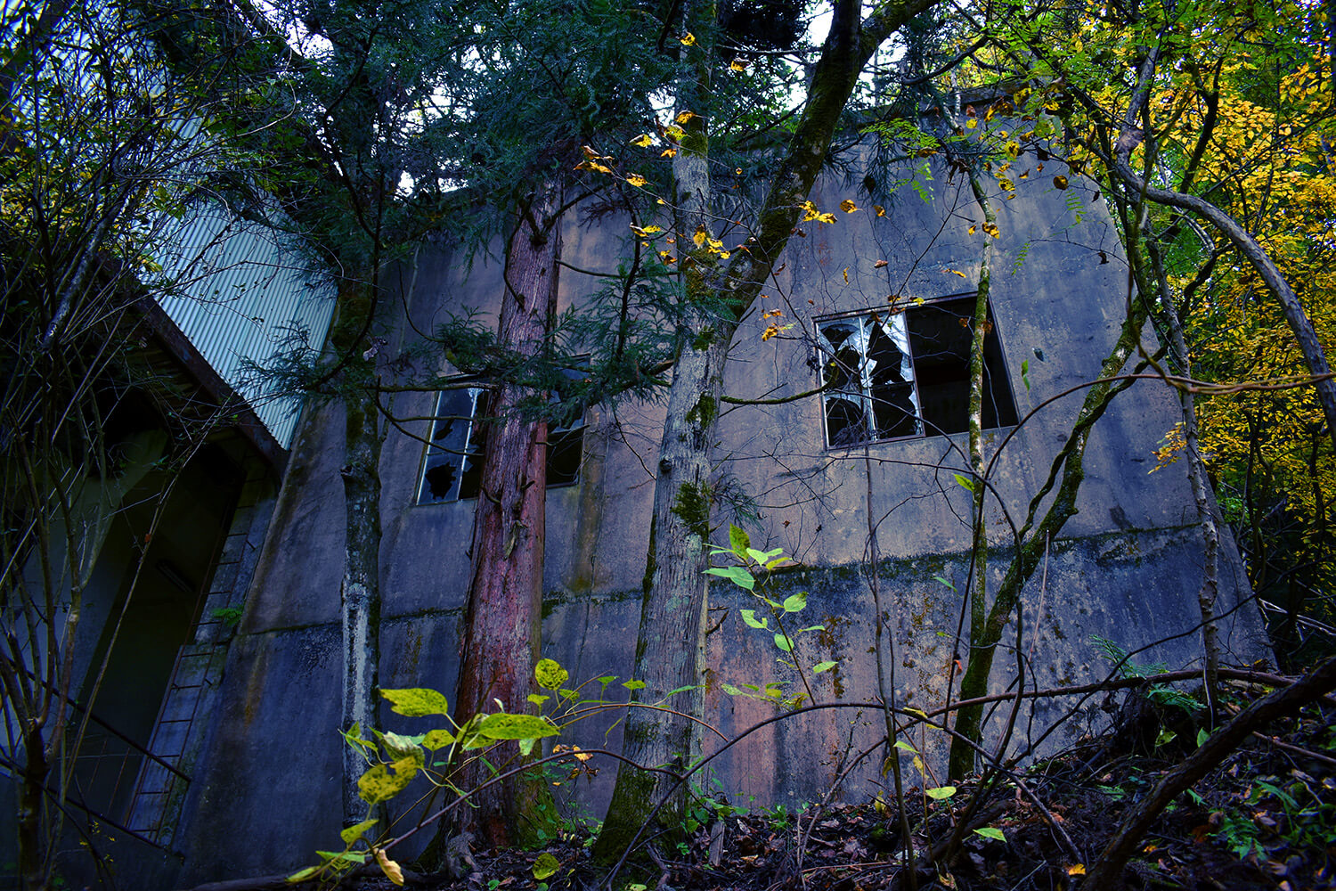 Okutama Ropeway, My First Foray into Haikyo - Unbordered Life