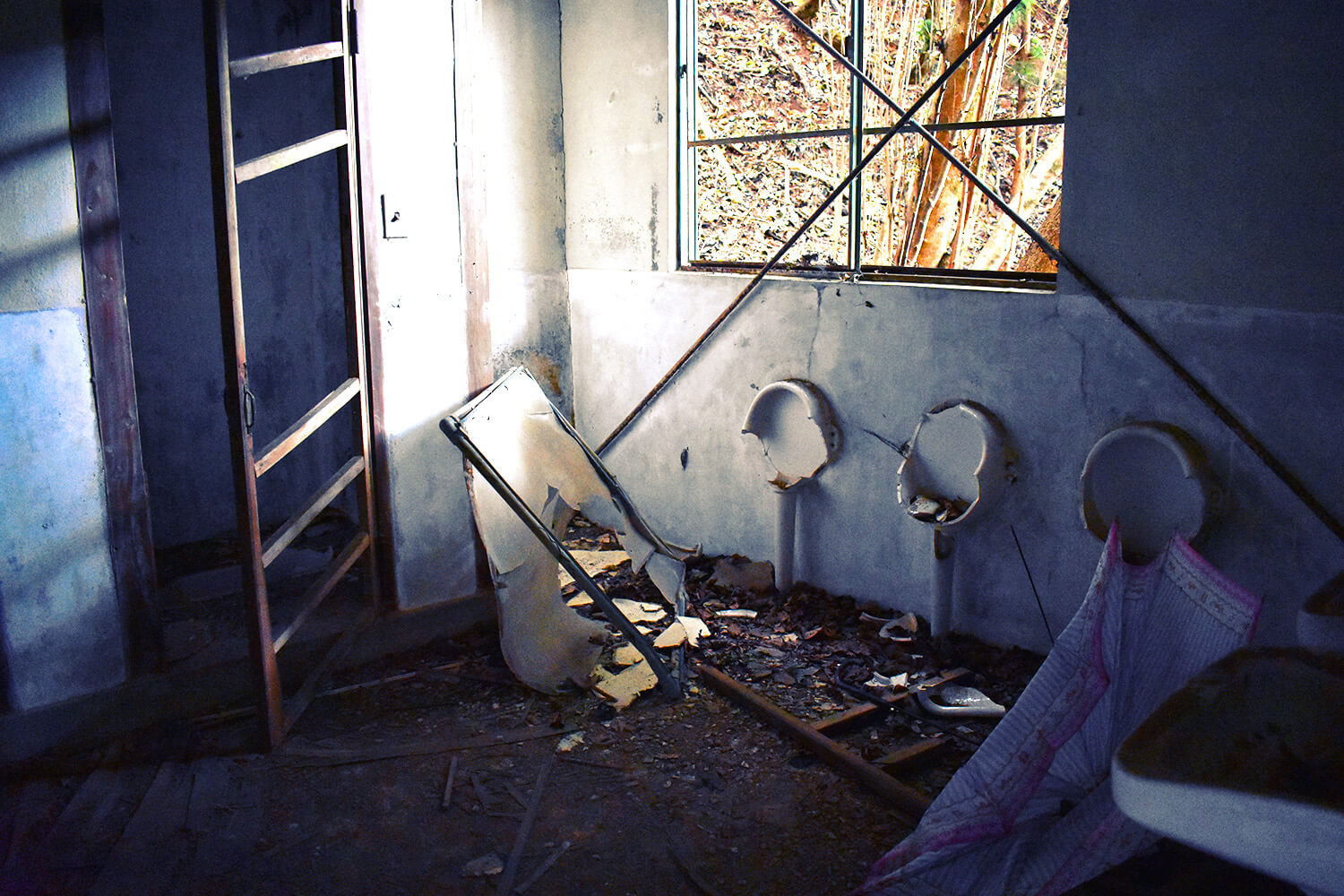 Okutama Ropeway, My First Foray into Haikyo - Unbordered Life