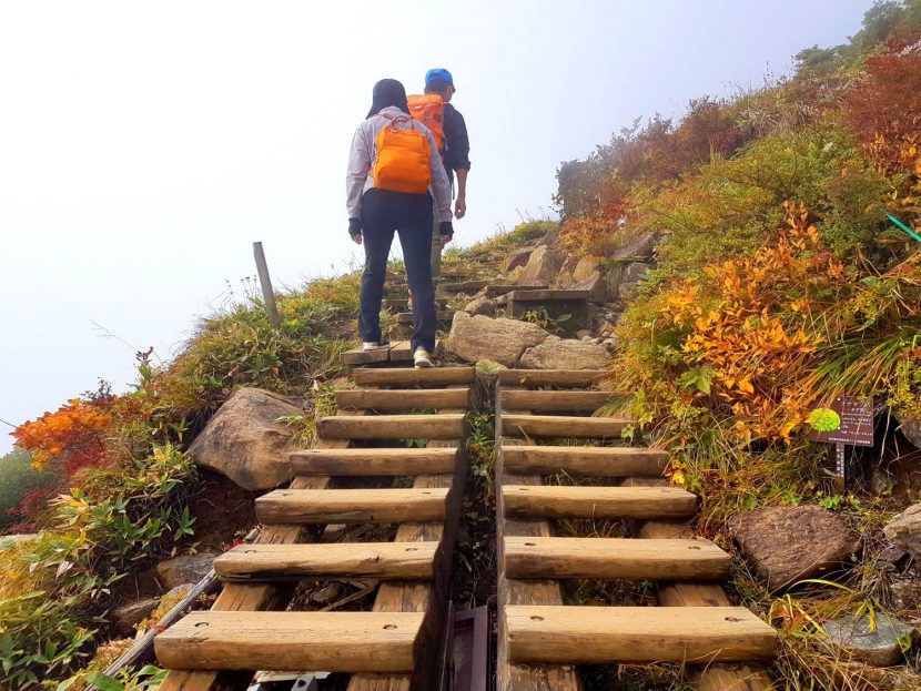 Hiking to Happo Pond in Hakuba: A Breathtaking Experience - Unbordered Life