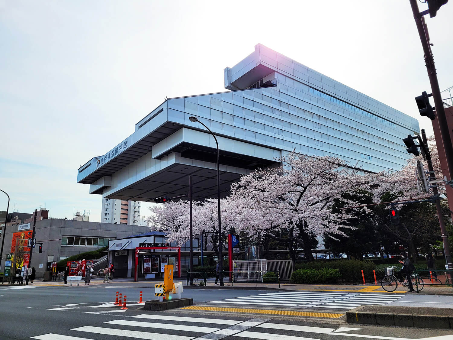 Things To Do in Tokyo's Ryogoku Besides Sumo - Unbordered Life