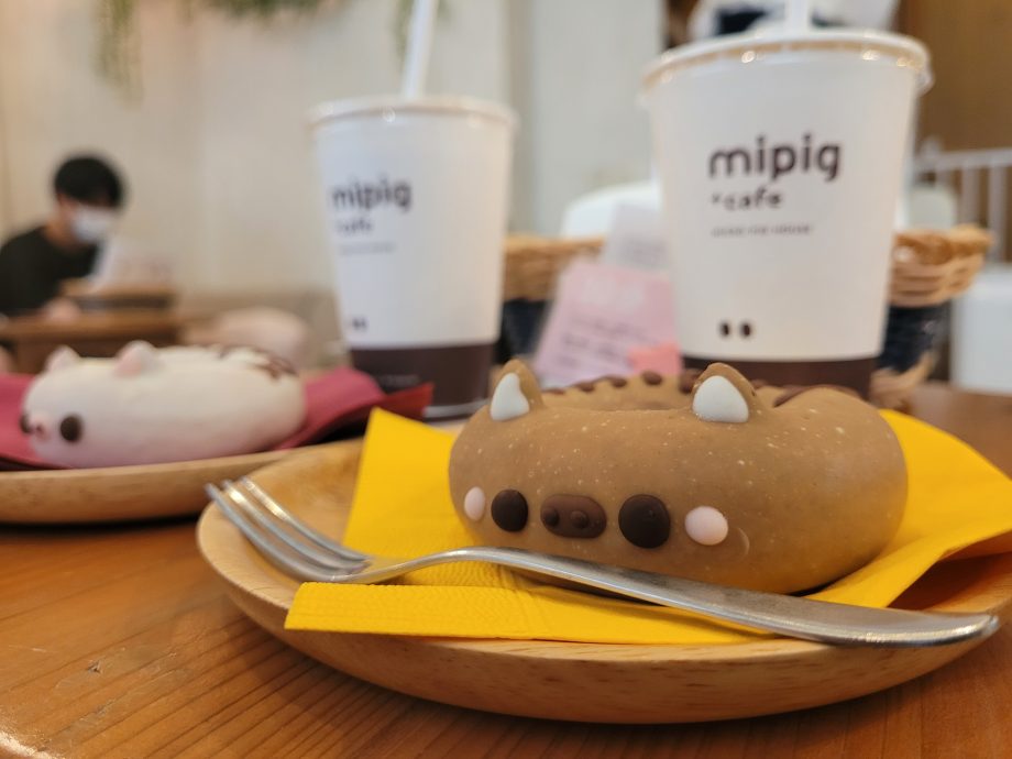 Mipig Cafe: The Place to Meet Micro Pigs in Japan - Unbordered Life