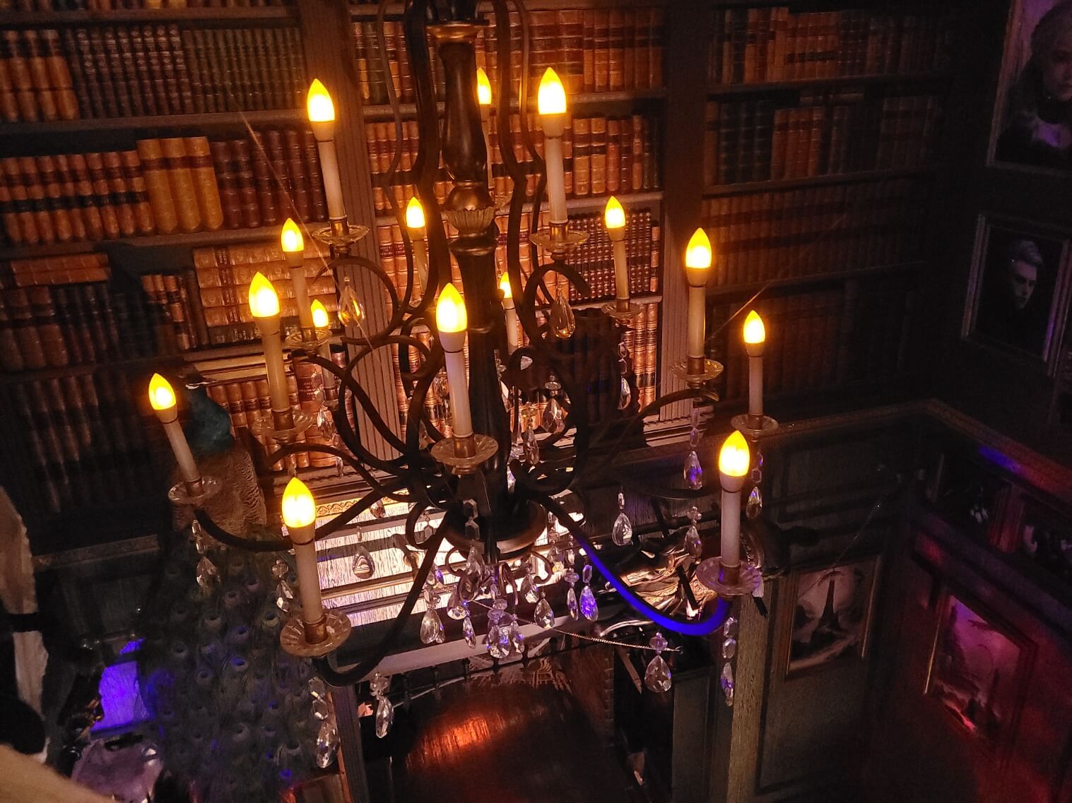 Enter Chamber of Raven, a Magical Realm Cafe in Tokyo - Unbordered Life