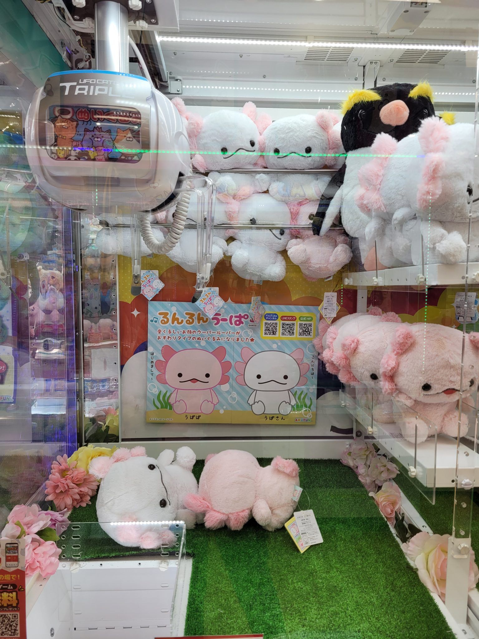 The Beginner's Guide to Mastering Crane Games - Unbordered Life