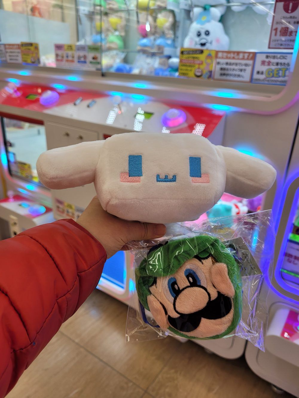 The Beginner's Guide to Mastering Crane Games - Unbordered Life