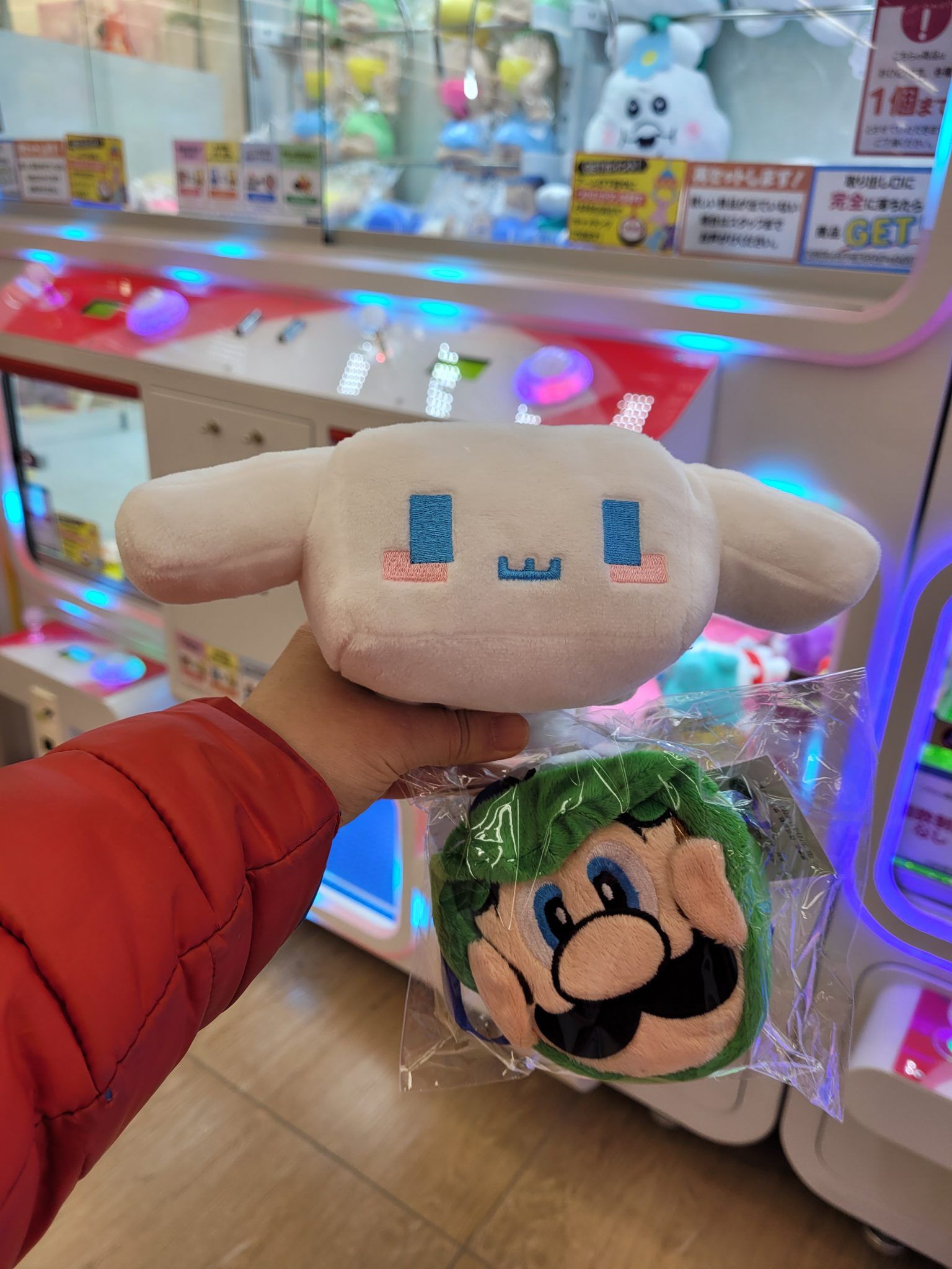 The Beginner's Guide to Mastering Crane Games - Unbordered Life