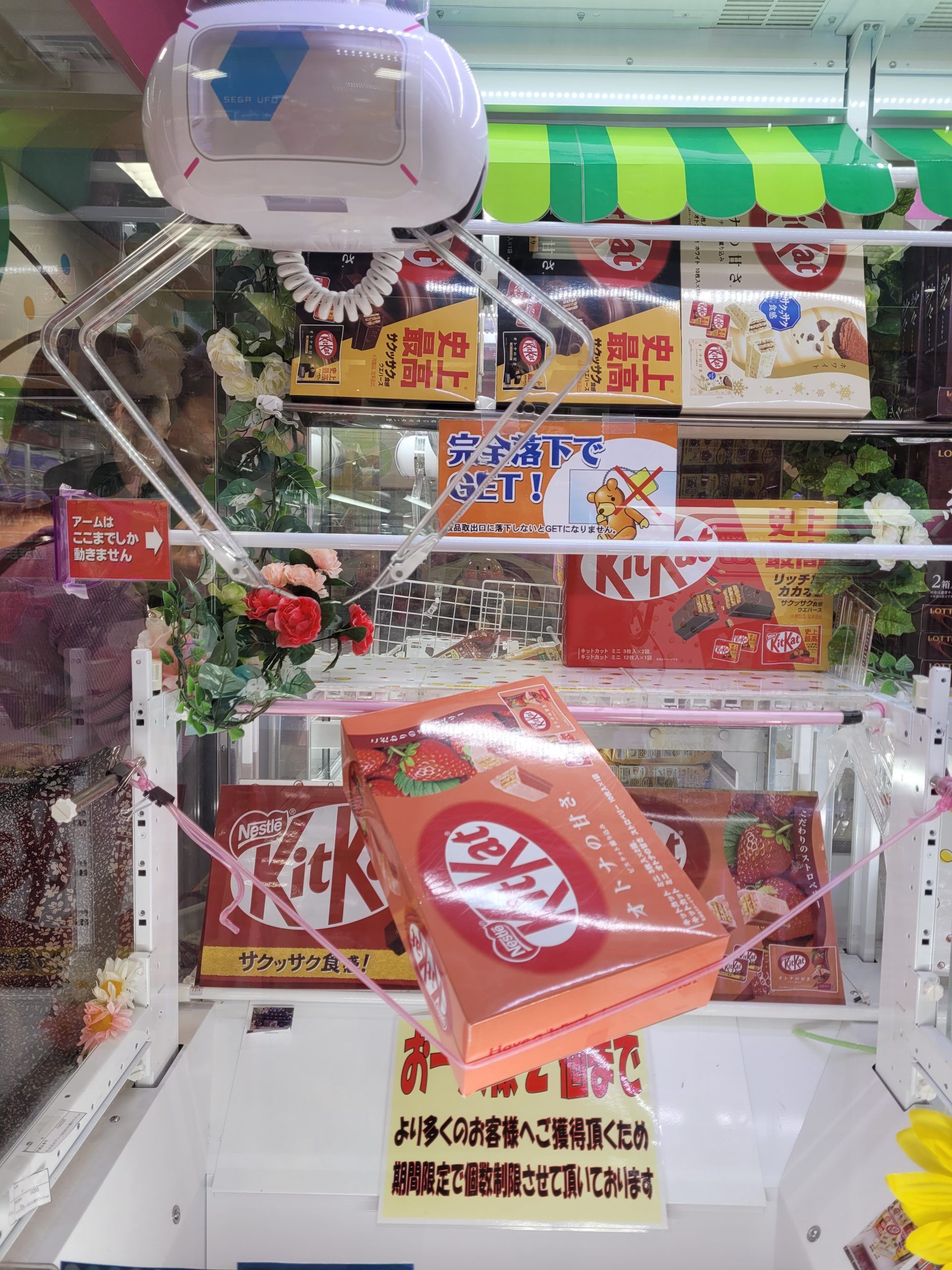 The Beginner's Guide to Mastering Crane Games - Unbordered Life