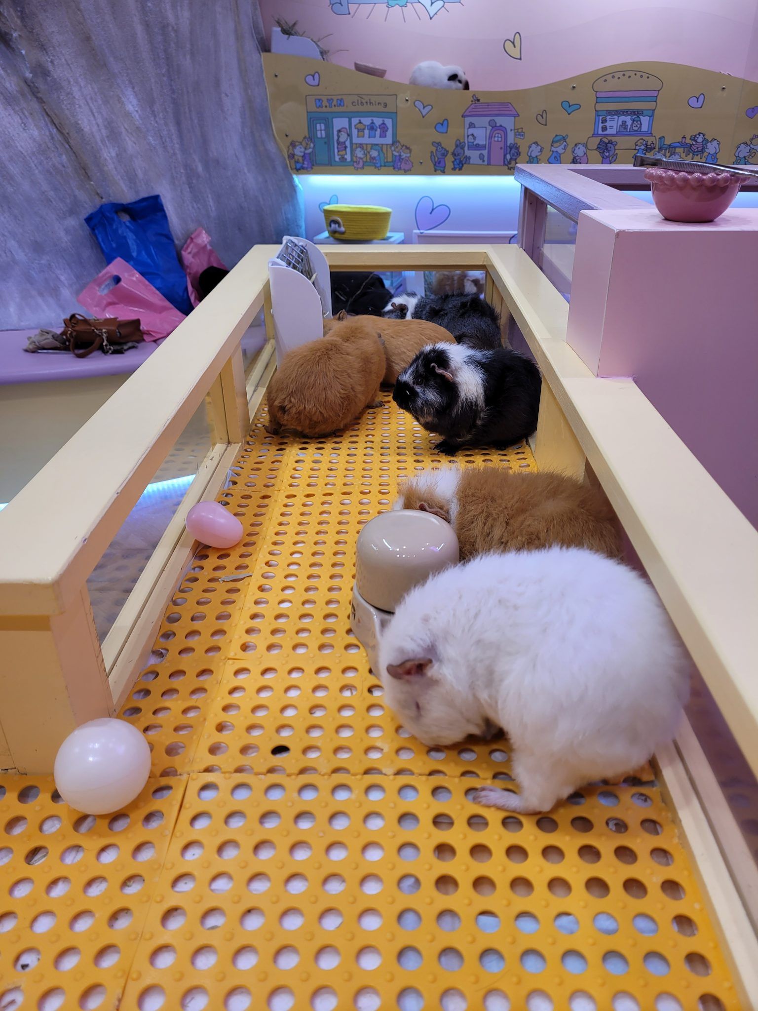 Harajuku Kawaii Land Kyun Kyun: A Cute Animal Play Spot - Unbordered Life