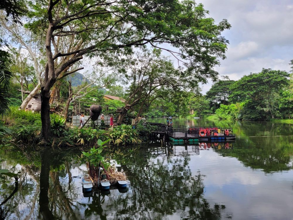 How to Visit Moo Deng, Thailand's Viral Pygmy Hippo - Unbordered Life